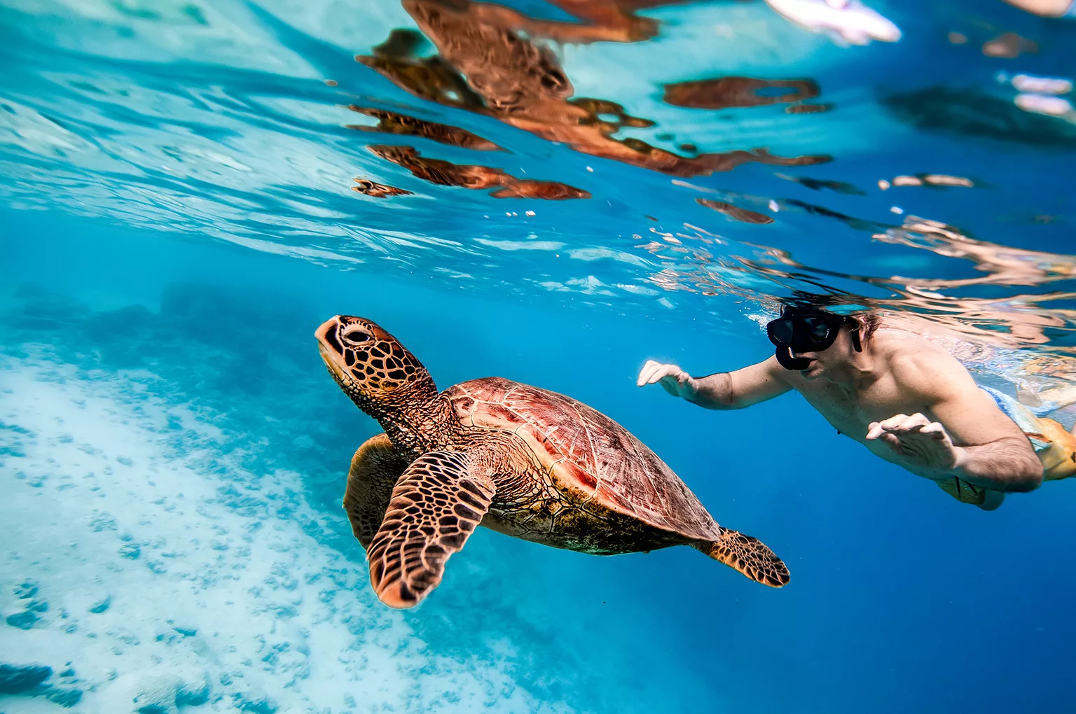 Rarotonga's Outer Islands In Focus | Outlook Travel Magazine