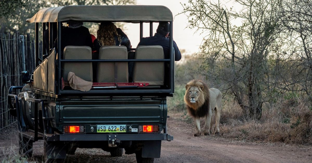 Getting To and Around Eswatini | Outlook Travel Magazine