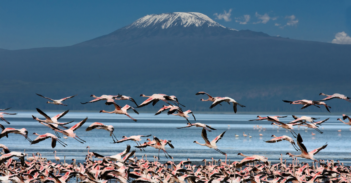Kilimanjaro in Focus | Outlook Travel Magazine