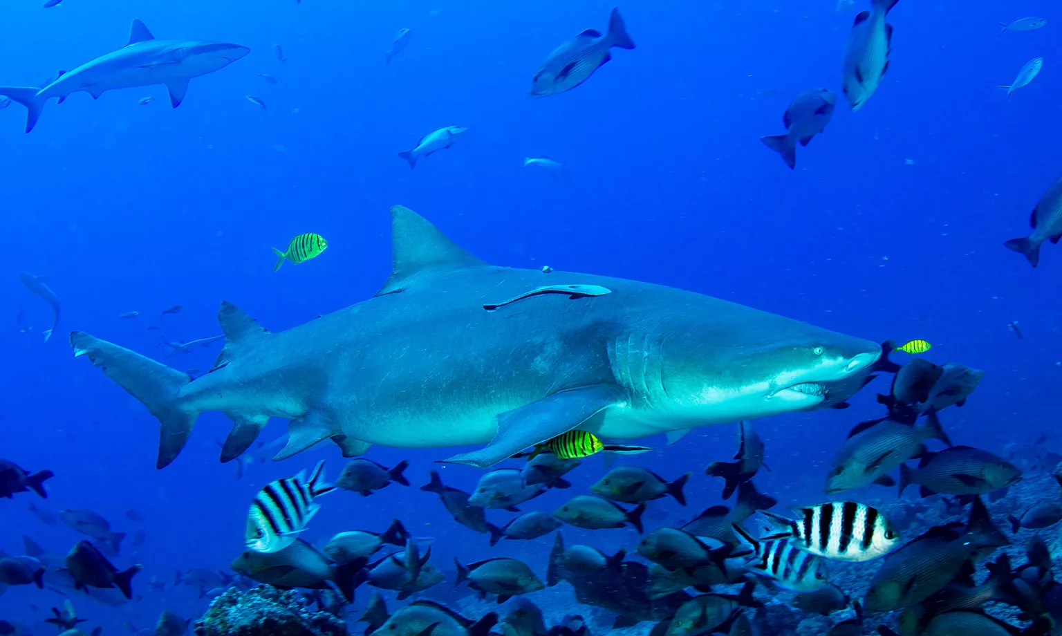 Fiji Landmark Attractions | Outlook Travel Magazine