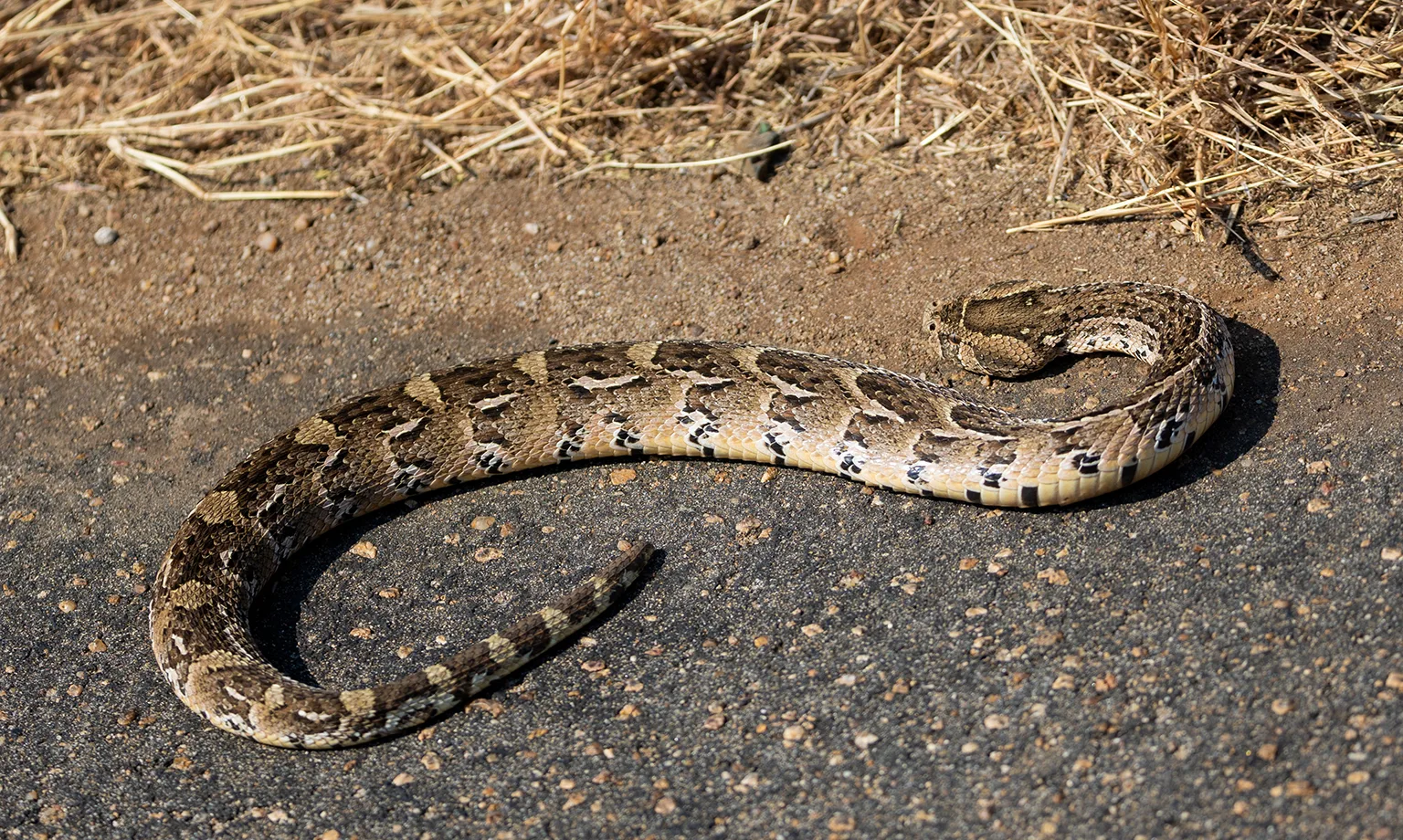 Lesotho : Landmark Attractions | Outlook Travel Magazine