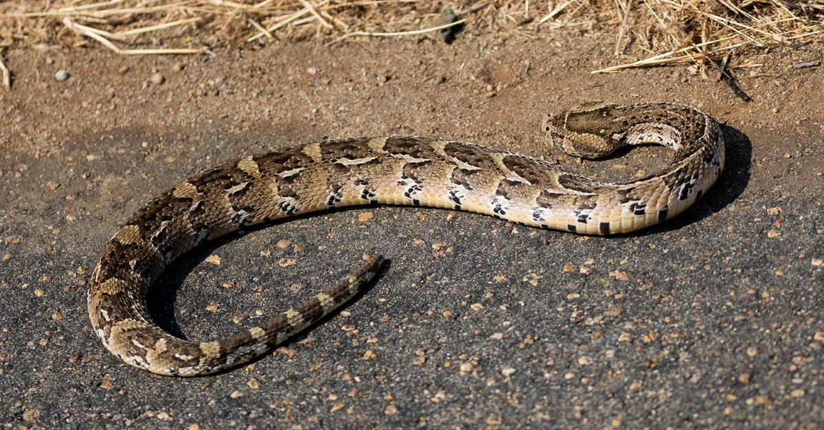 Lesotho : Landmark Attractions | Outlook Travel Magazine