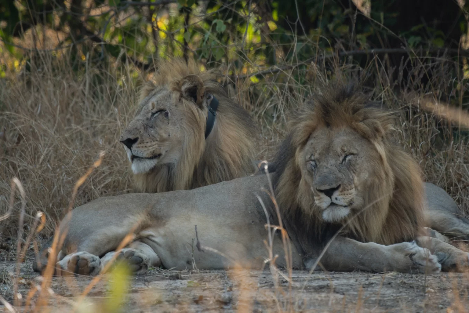 Malawi : Landmark Attractions | Outlook Travel Magazine