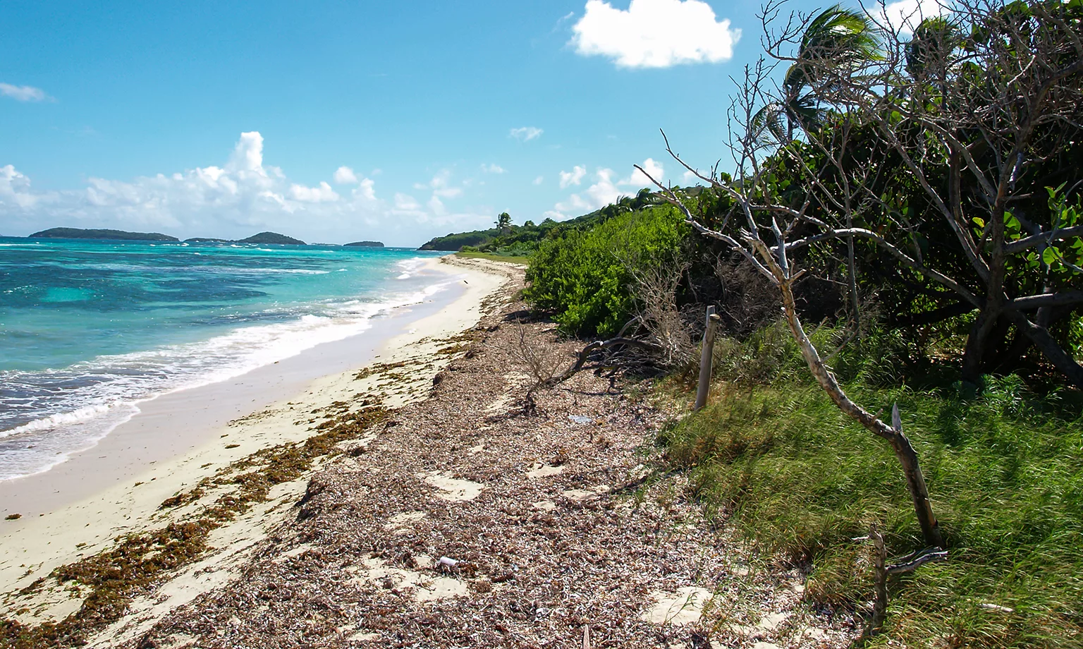 Salt Cay In Focus | Outlook Travel Magazine