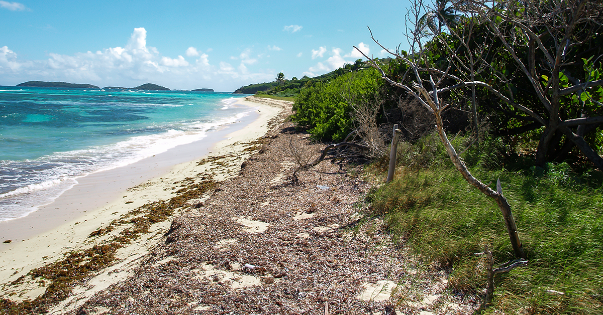 Salt Cay In Focus | Outlook Travel Magazine