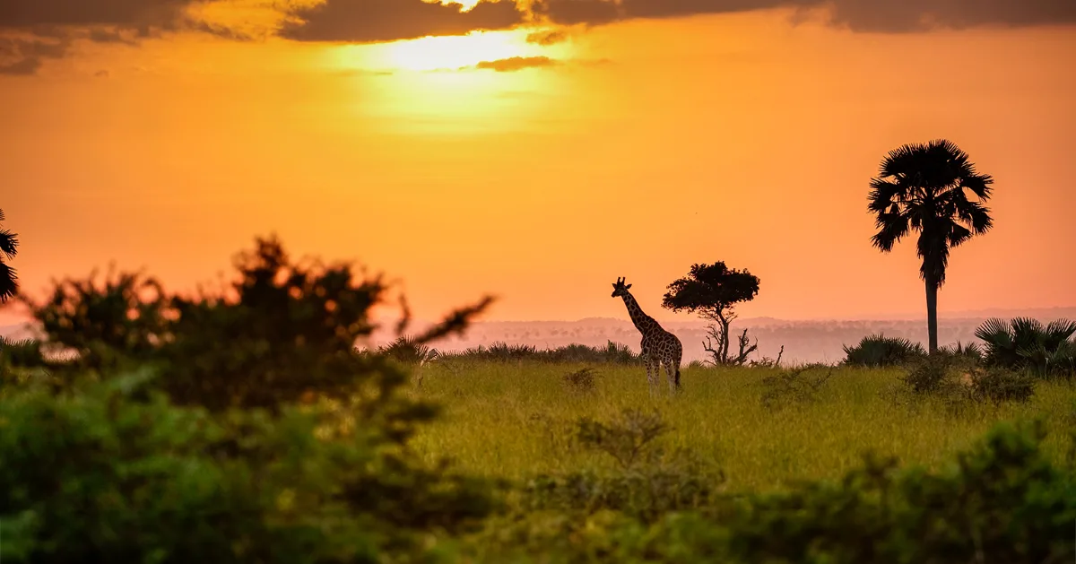 Uganda Travel Guide | Outlook Travel Magazine