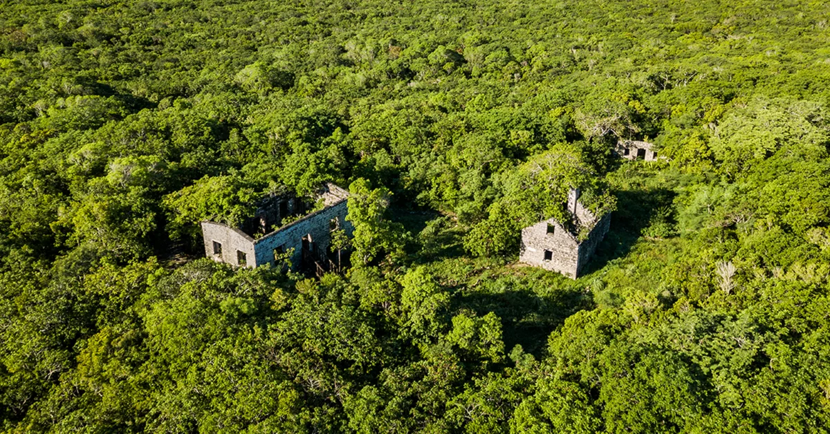 Wade's Green Plantation in Focus | Outlook Travel Magazine
