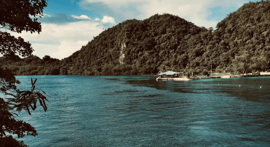 Koror City In Focus | Outlook Travel Magazine