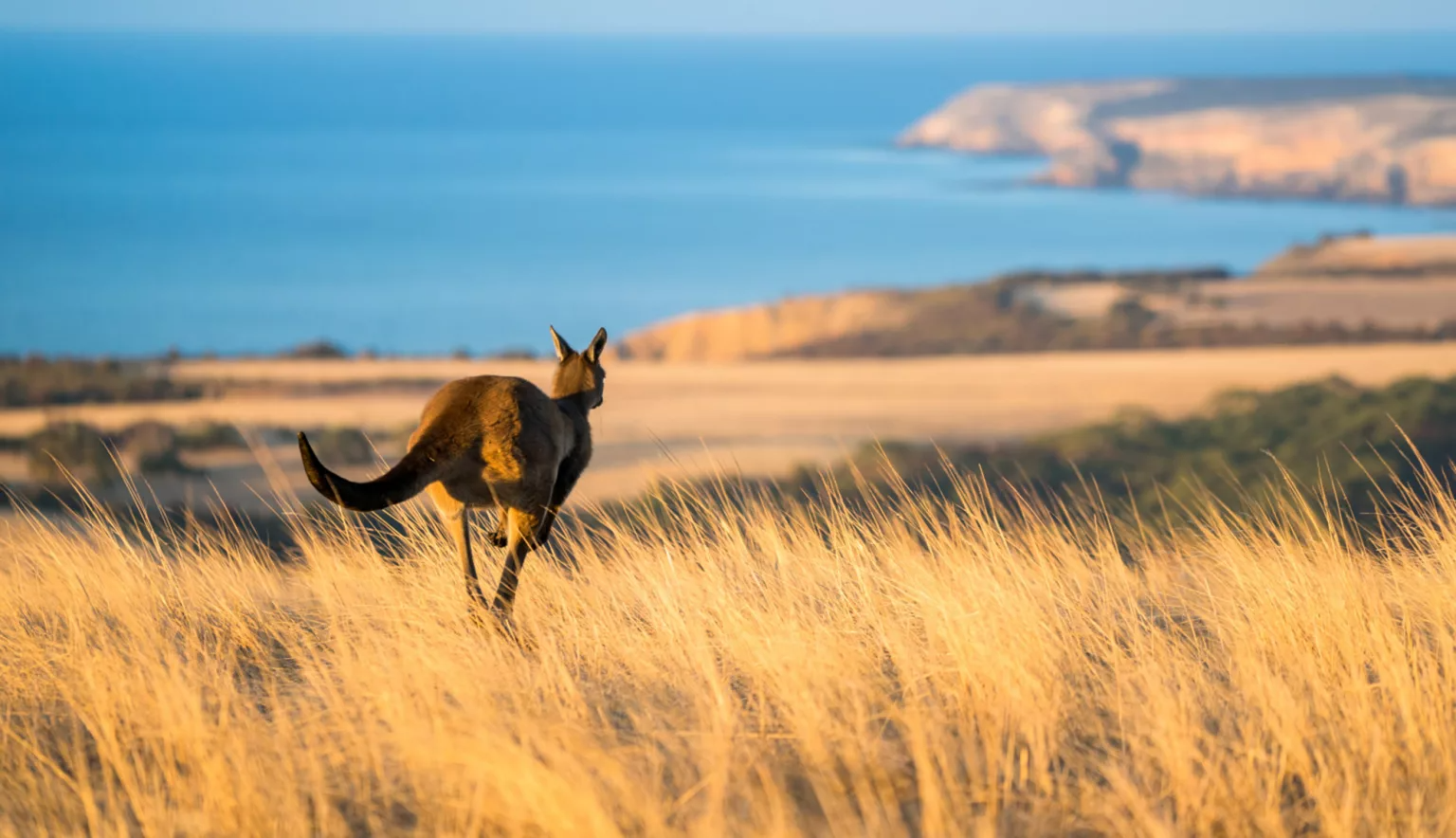 South Australia Tourism | Travel Guides